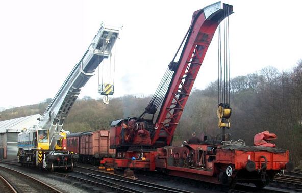 11 Common Types of Cranes