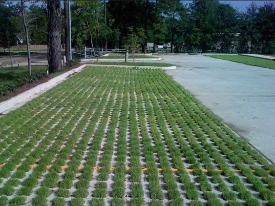 What Is Grasscrete? Types of Grasscrete